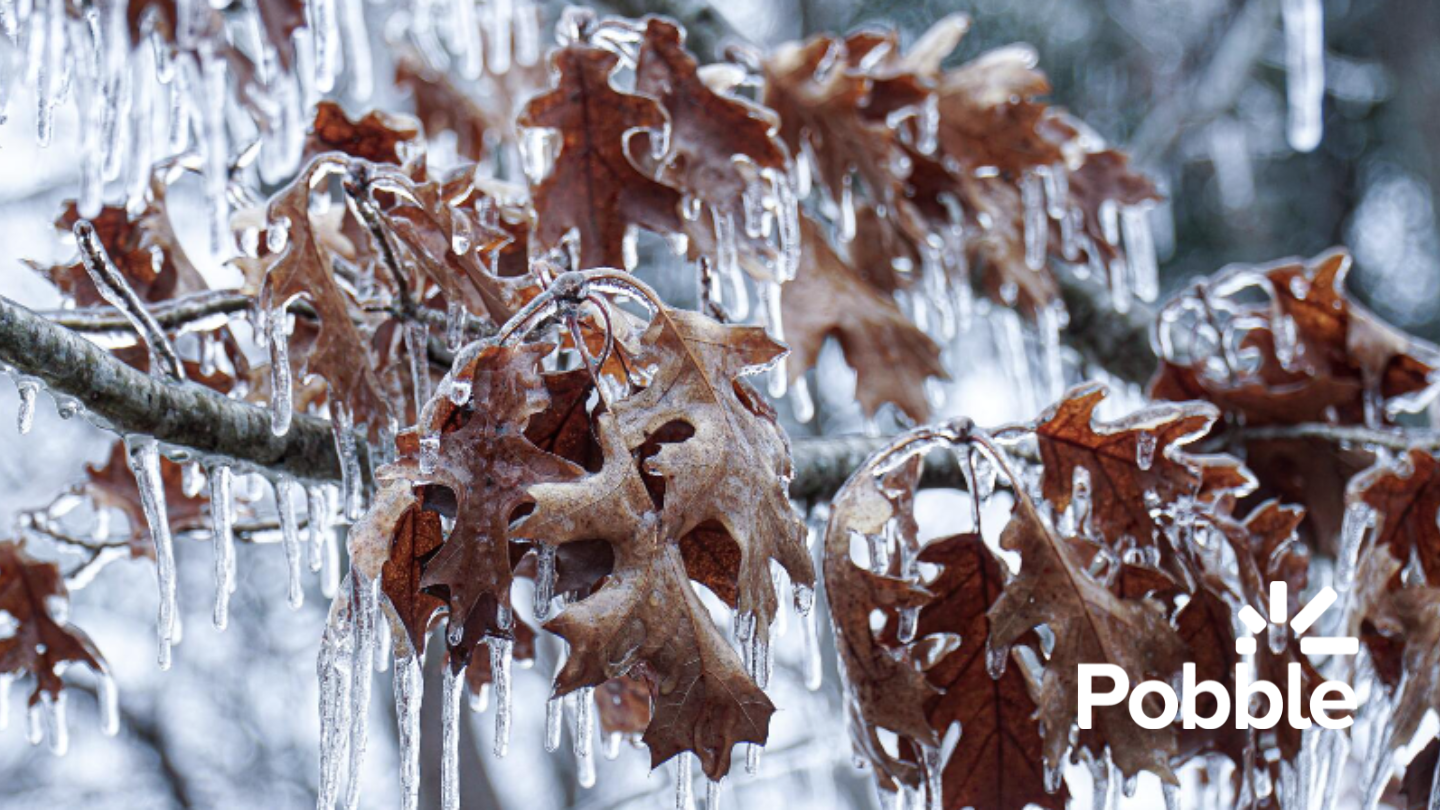 Winter prompts to inspire wonderful writing