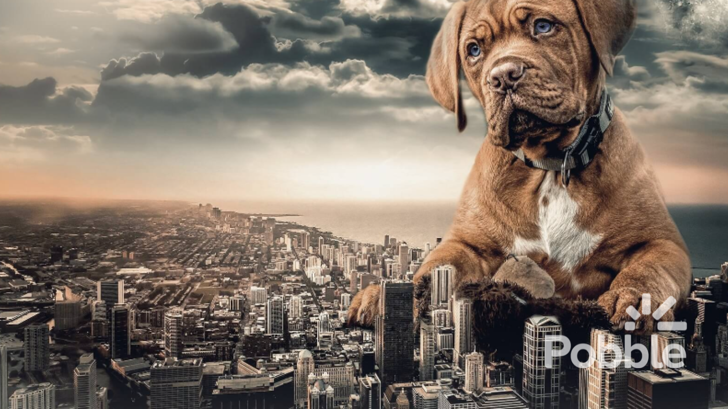 7 spellbinding prompts to inspire magical writing