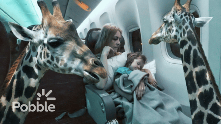 8 animal-themed writing prompts to spark 'wild' ideas!