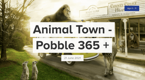 Here's how to get even more out of Pobble 365!