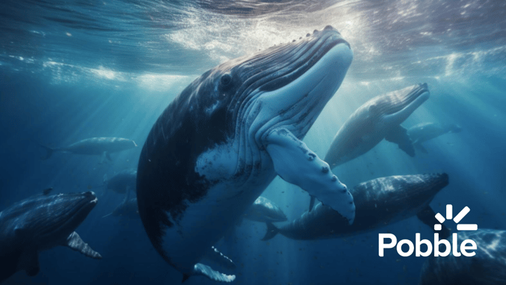 Dive into imagination: 10 sea-themed writing prompts